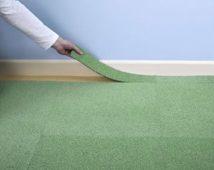 Home - The Carpet and Rug Institute