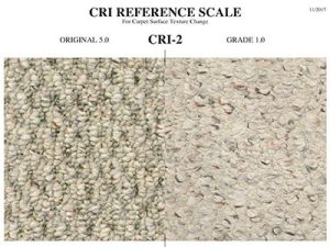 Items Available for Purchase - The Carpet and Rug Institute