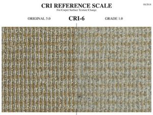 Items Available for Purchase - The Carpet and Rug Institute