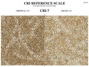 Items Available for Purchase - The Carpet and Rug Institute